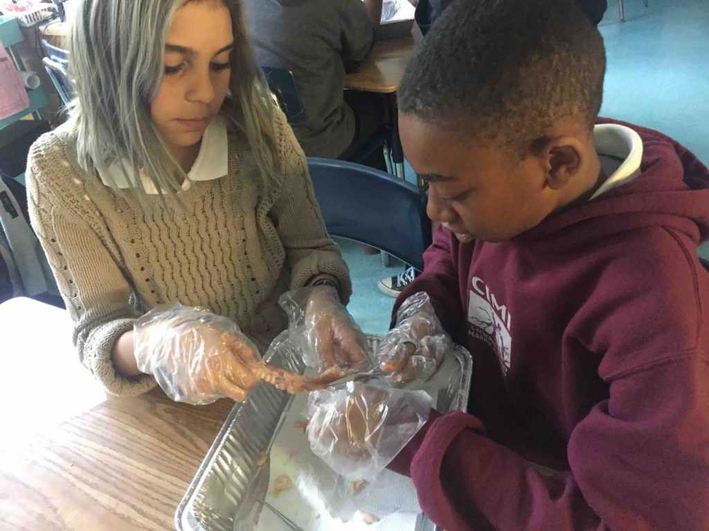 ESM Class of 2019: Chicken Wing Dissection | Friends of King